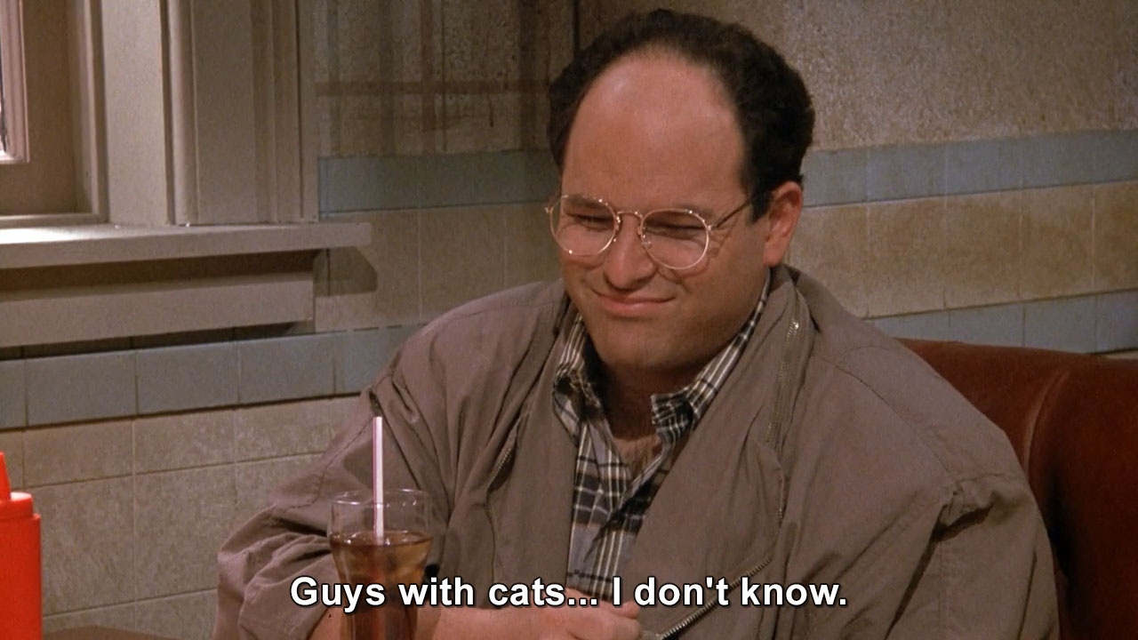 Guys with cats - I don't know. | Seinfeld | TVgag.com