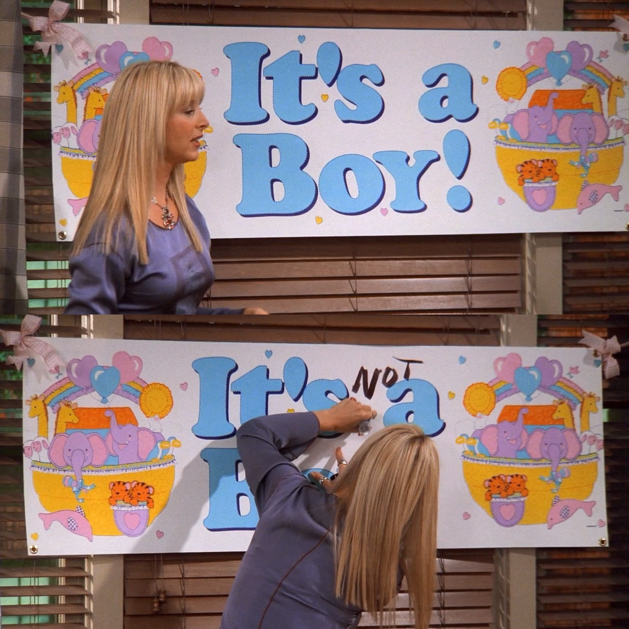 It's a boy! It's not a boy! | Friends | TVgag.com