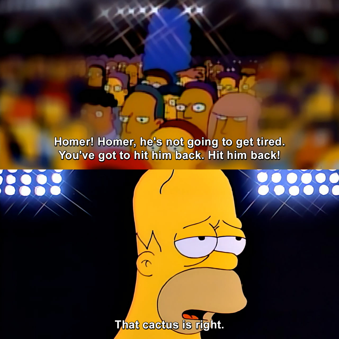 Homer Romantic Quotes