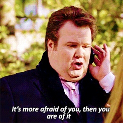 It’s more afraid of you, then you are of it. Pigeons aren’t afraid of ...